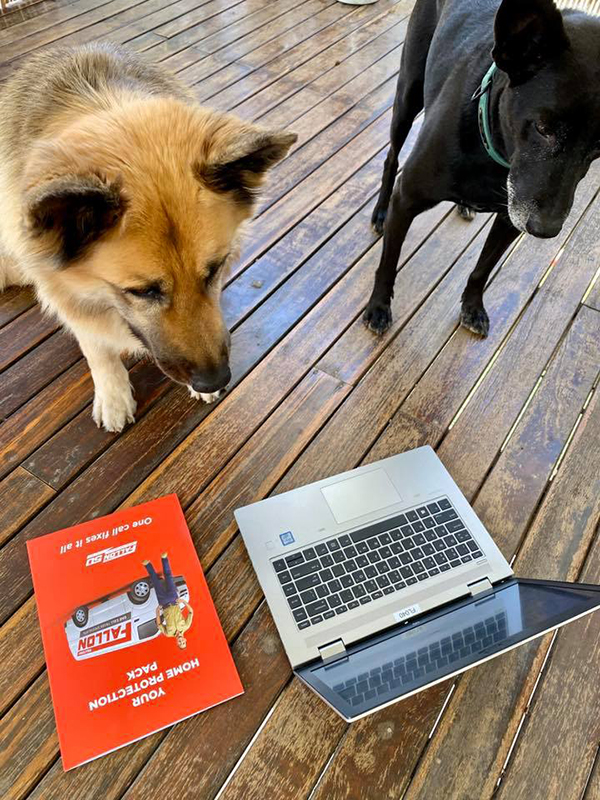 Behind the scenes at Fallon Solutions