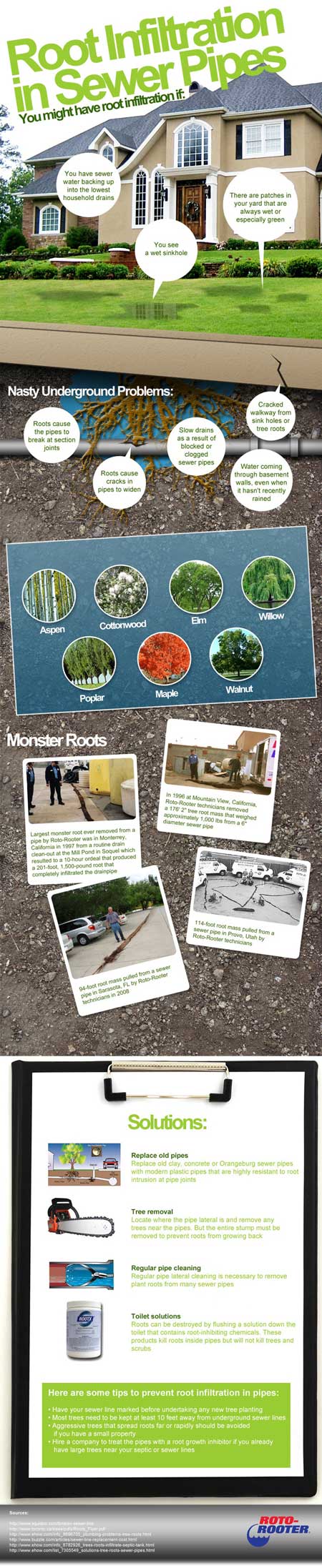 Warning signs your pipes have root intrusion | Reline Solutions