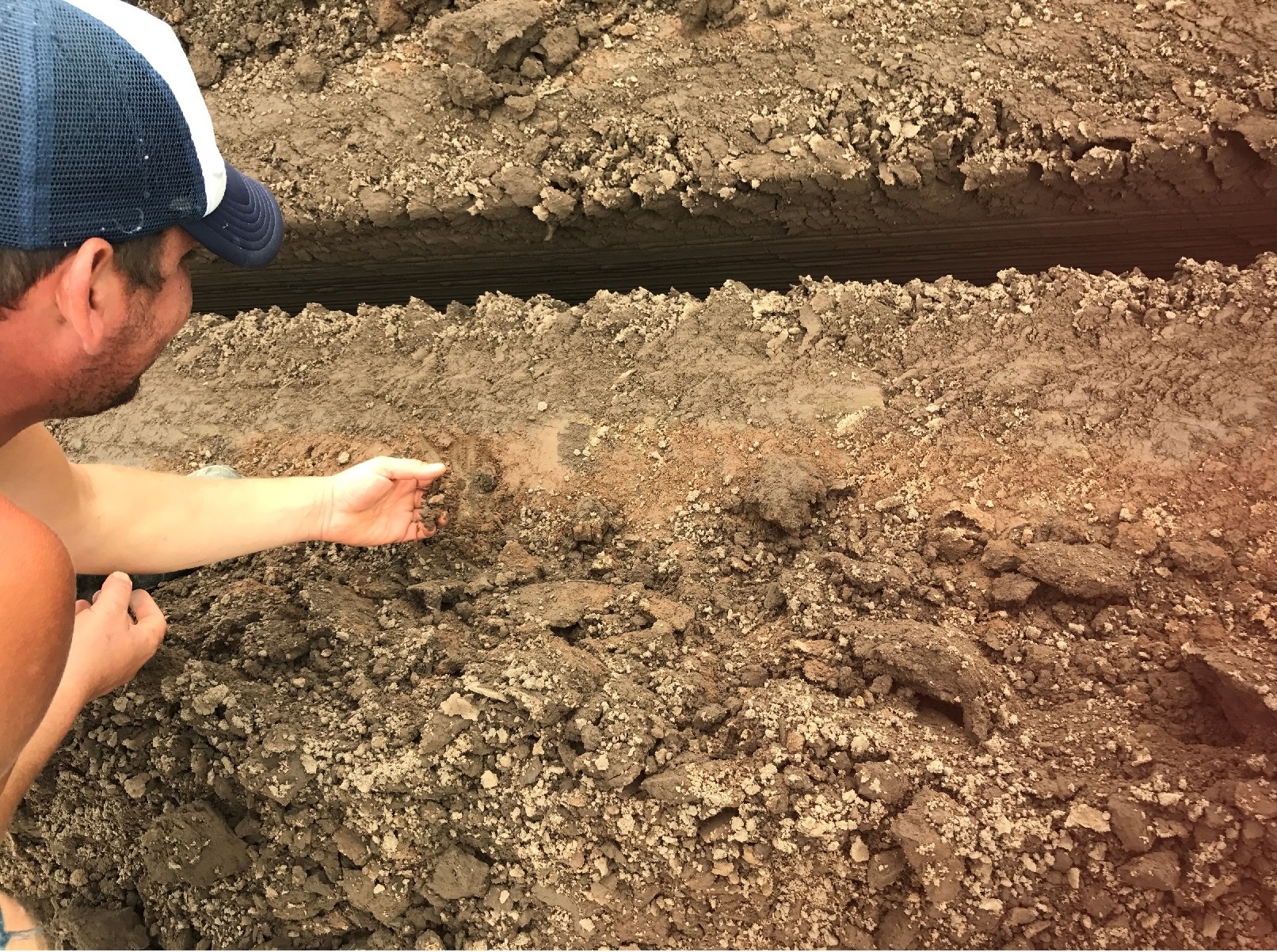 Soil Heatlh | Disease Suppression | Farmers and Growers - Australian ...