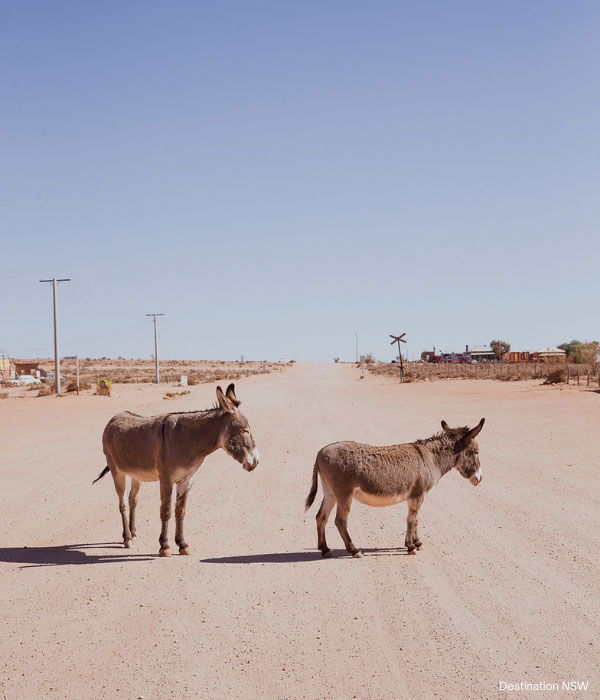Silverton Attractions