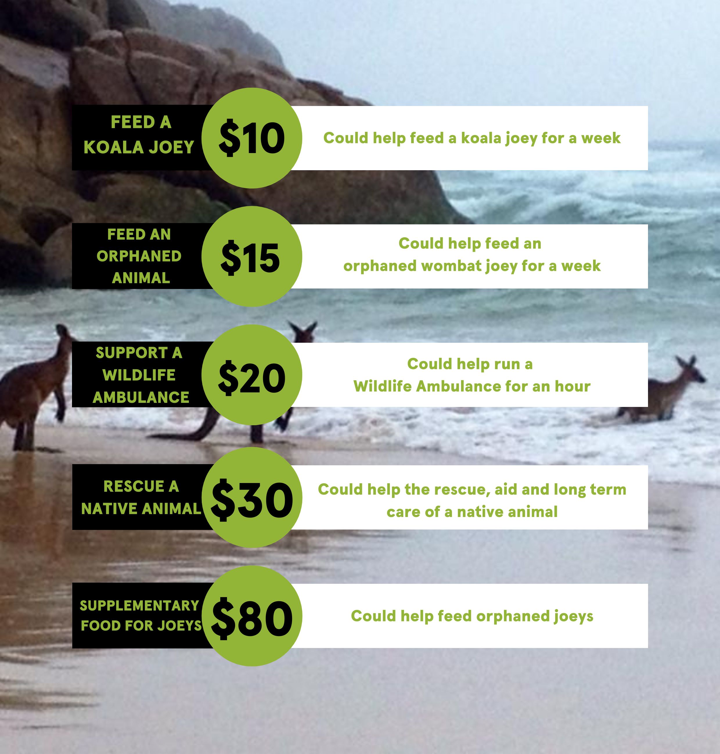 Your special gift will help us respond to hundreds of Emergency Rescue ...