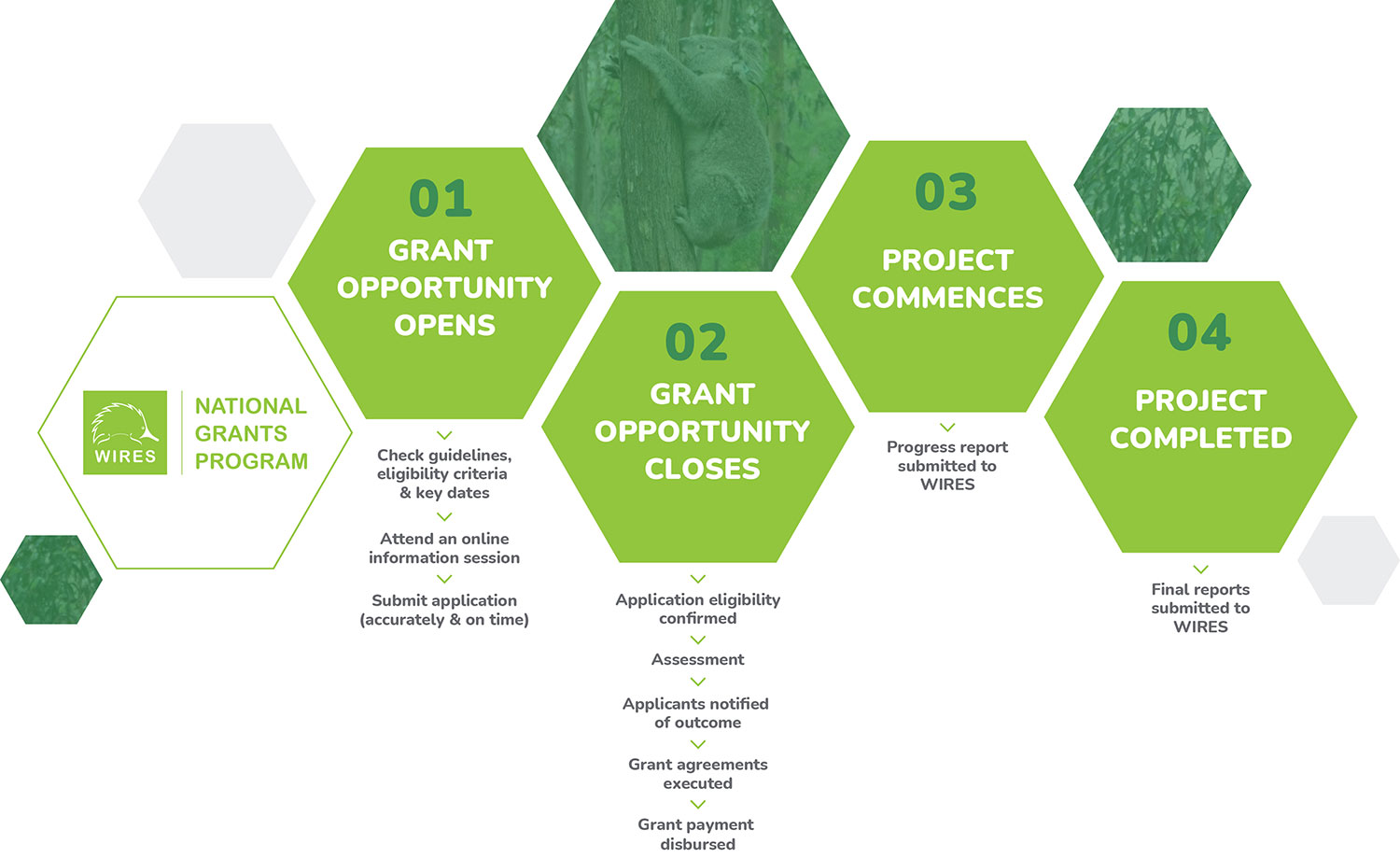 WIRES National Grant Program