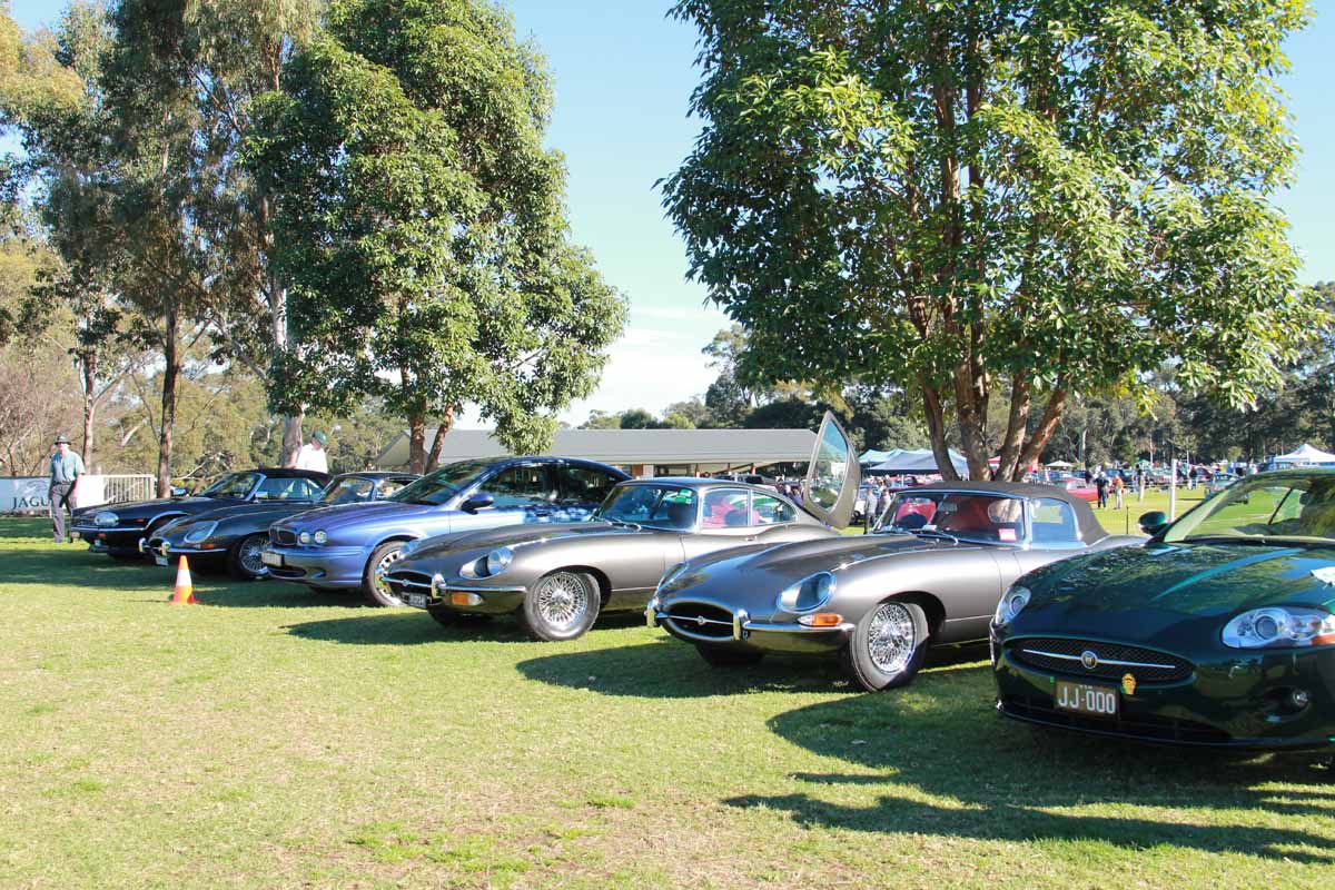Photos | Jaguar Drivers Club of Australia