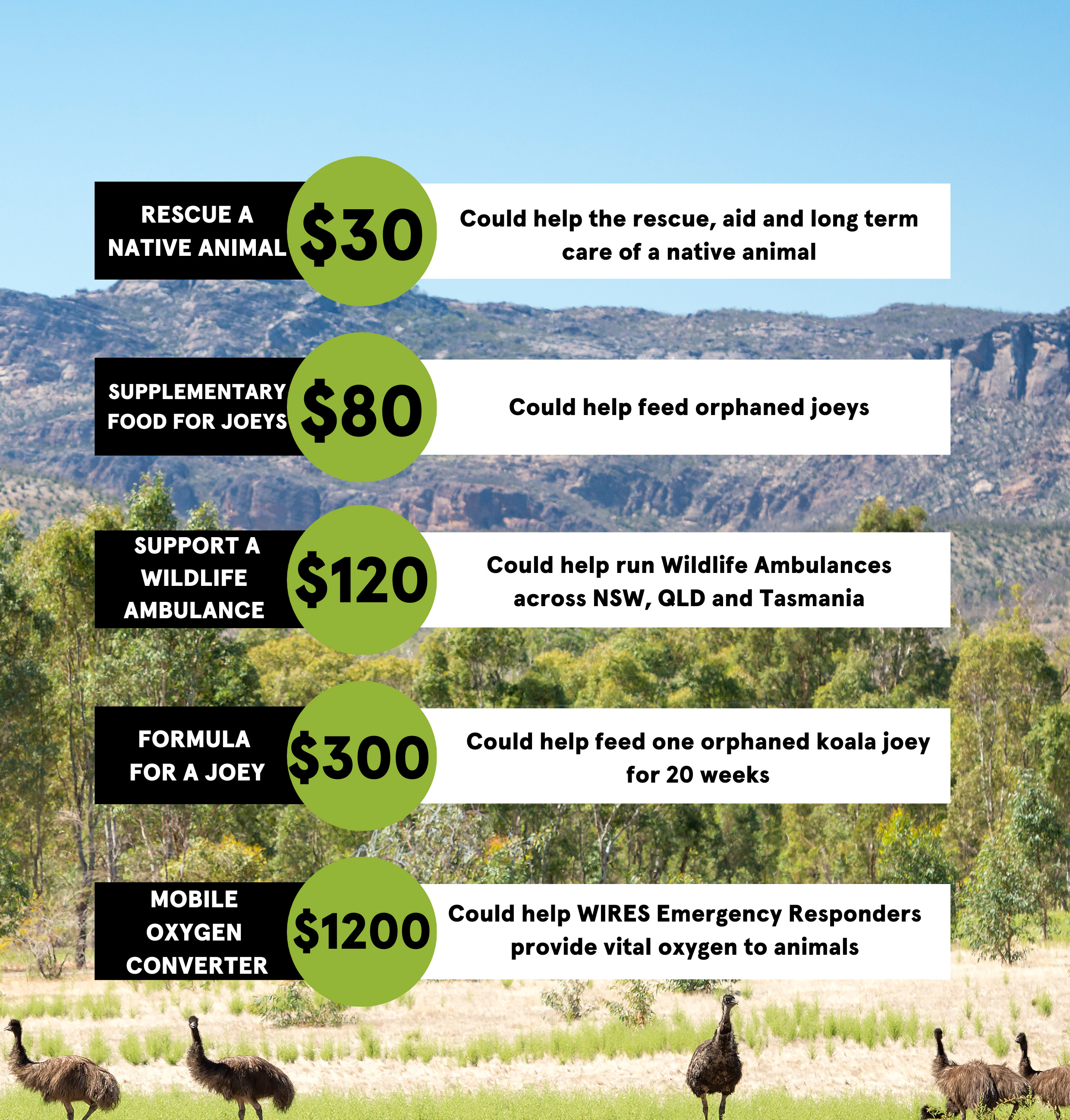 Give a Gift to Wildlife - WIRES