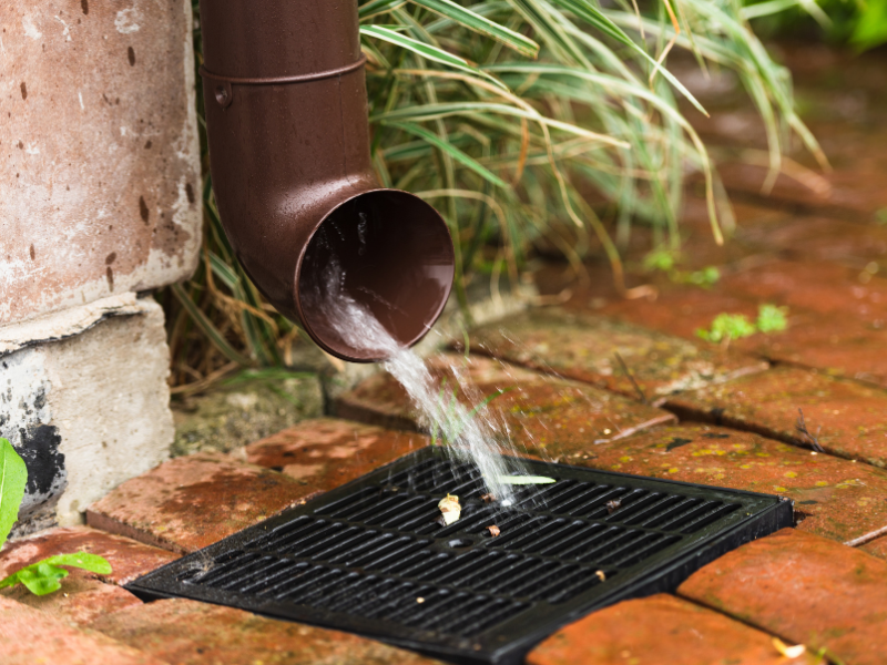Are You Tired of a Soggy Backyard? Find Out How To Improve Your ...