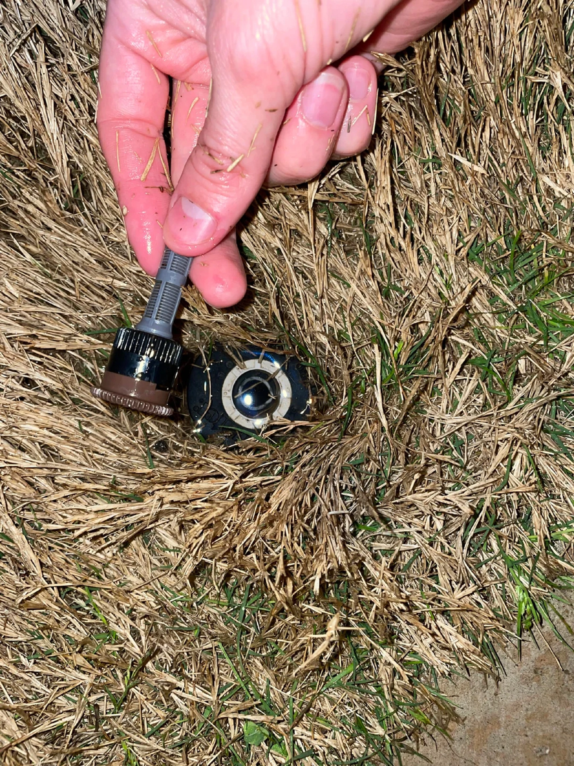 4 Common Water Sprinkler Emergencies and How to Fix Them - Gold Coast ...