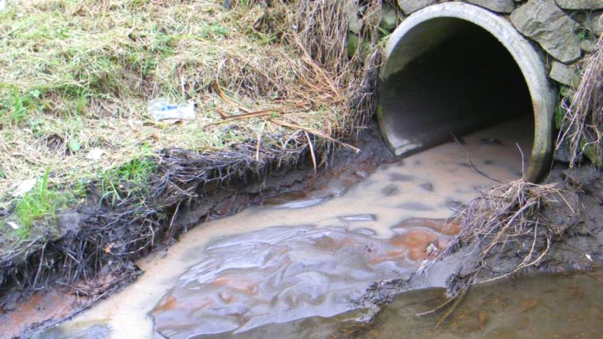 What Causes A Blocked Stormwater Drain? | Common Causes Explained - Gold Coast Plumbing Company